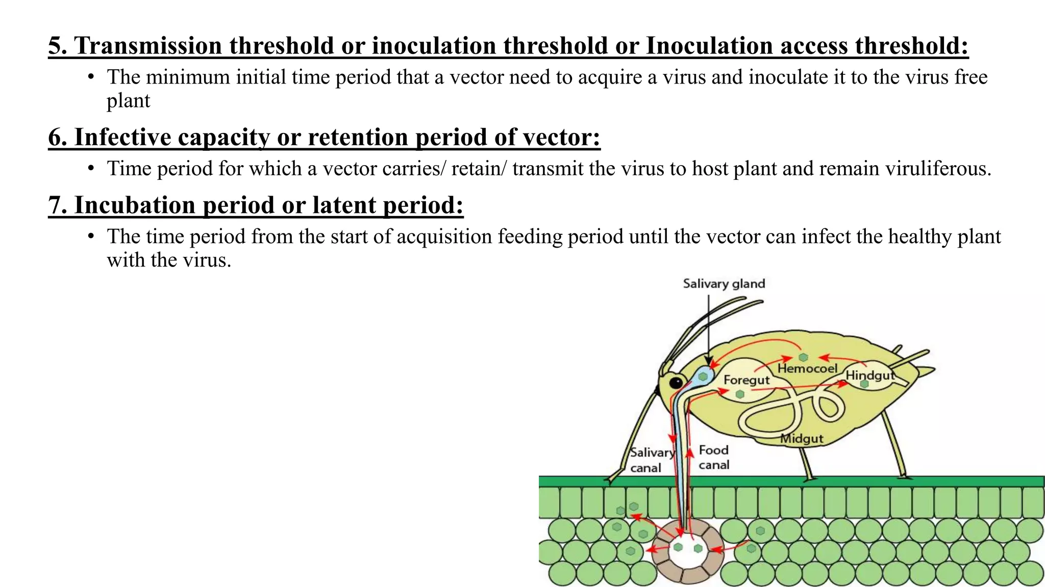 Virus vector relationship | PDF