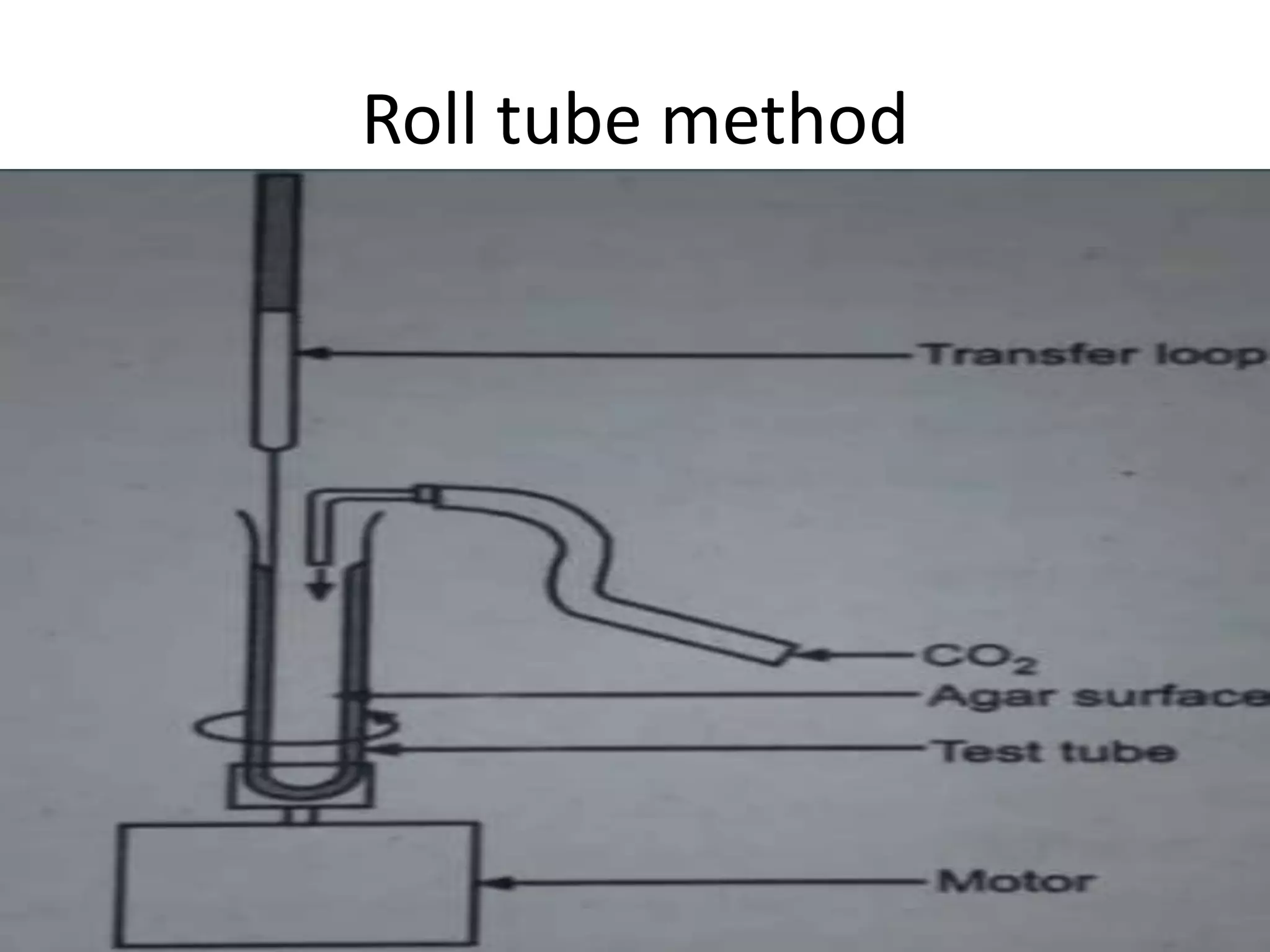isolation and preservation of pure culture | PPTX