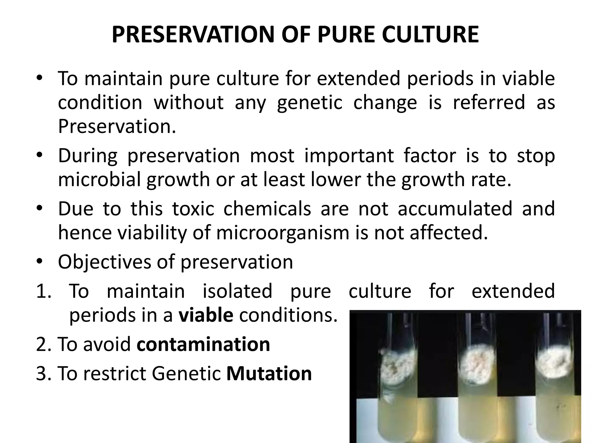 isolation and preservation of pure culture | PPTX