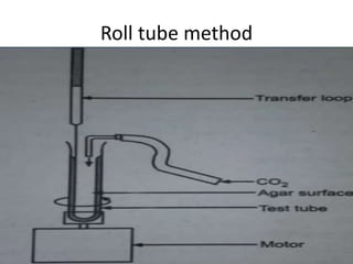 isolation and preservation of pure culture | PPTX