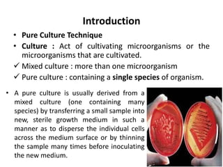 isolation and preservation of pure culture | PPTX