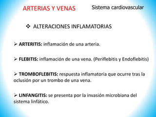 Sistema Cardiovascular | PPT