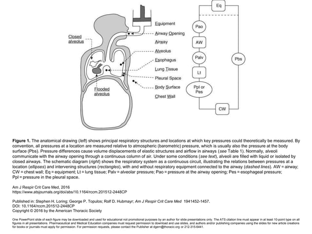 10.1164-rccm.201512-2448CPFigure1.pptx.ppt