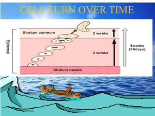 10. MELASMA DAN AKNE VULGARIS.pptx