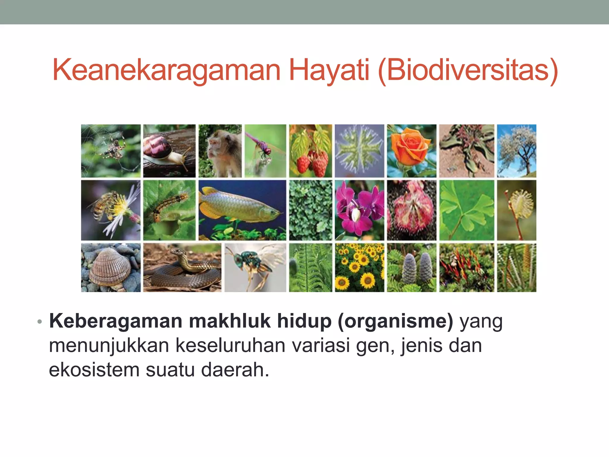 10. Keanekaragaman Hayati 1.pptx