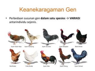 10. Keanekaragaman Hayati 1.pptx