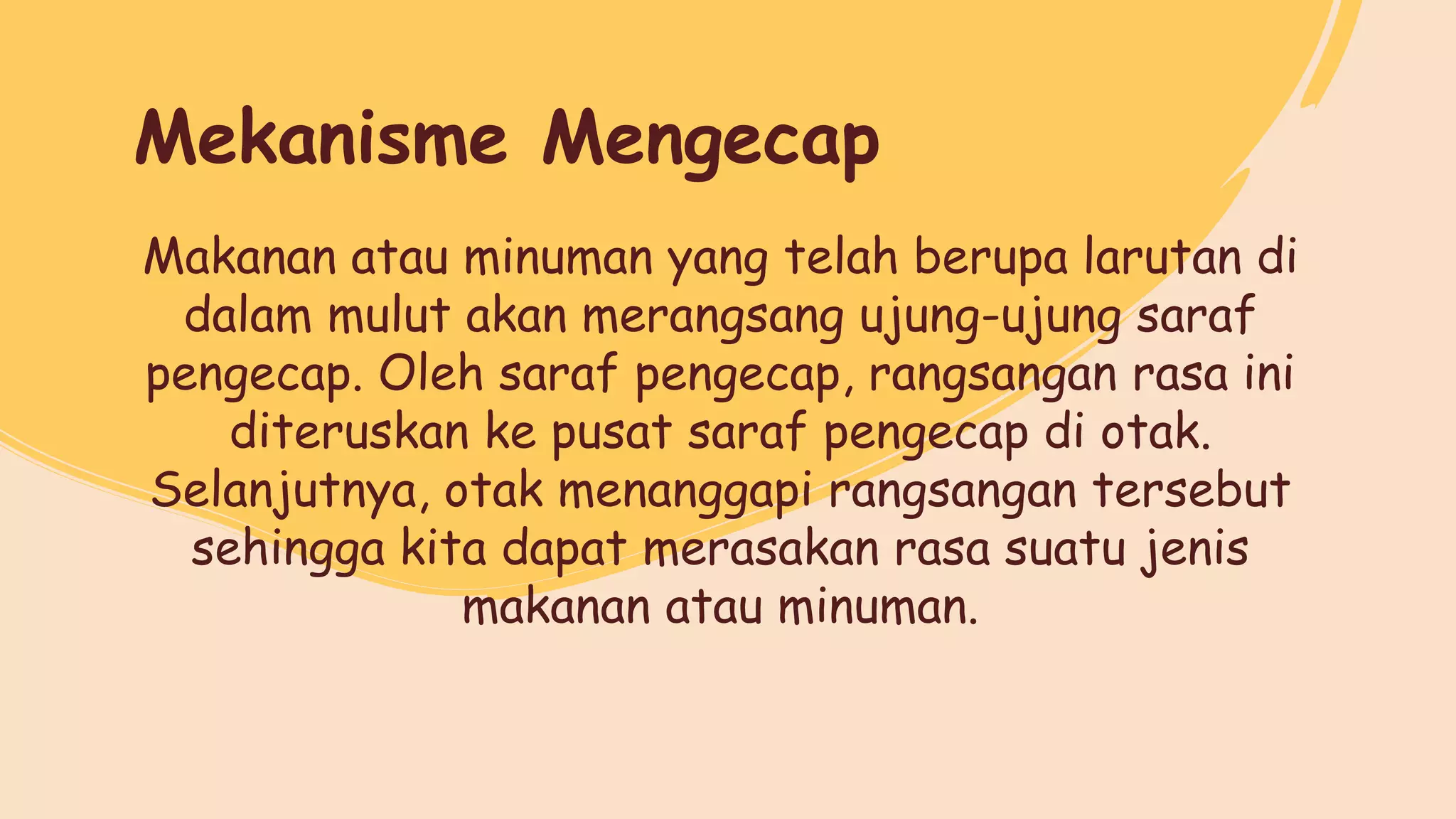 10. Sistem Indera Manusia.pptx