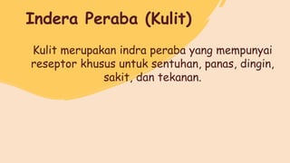 10. Sistem Indera Manusia.pptx