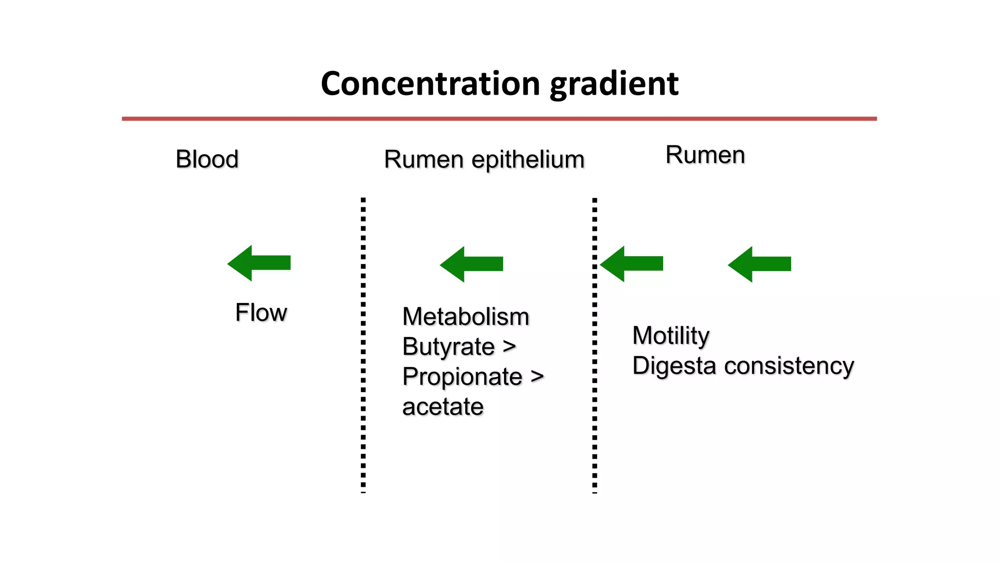 10. Feedworks-Rumen function (and dysfunction).pptx