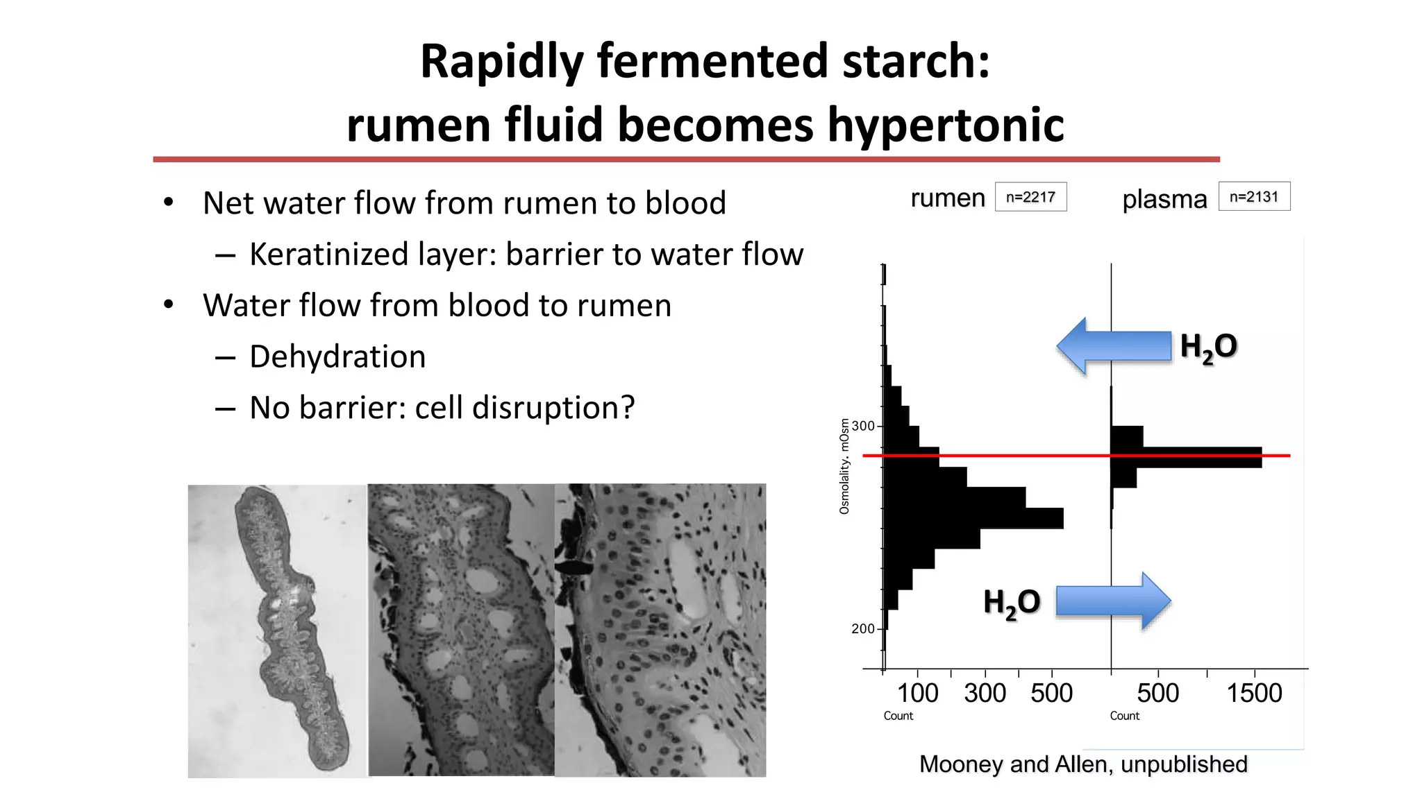 10. Feedworks-Rumen function (and dysfunction).pptx
