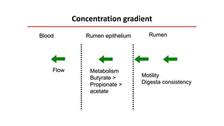 10. Feedworks-Rumen function (and dysfunction).pptx