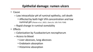 10. Feedworks-Rumen function (and dysfunction).pptx