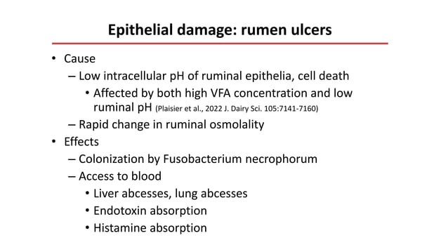 10. Feedworks-Rumen function (and dysfunction).pptx