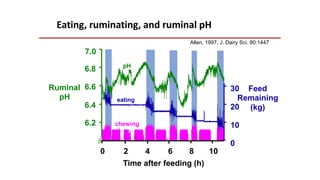 10. Feedworks-Rumen function (and dysfunction).pptx