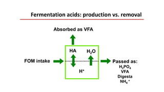 10. Feedworks-Rumen function (and dysfunction).pptx
