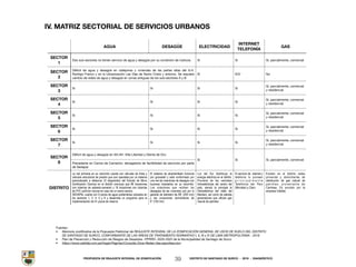 10.-Diagnostico-RIZ-Santiago-de-Surco-.pdf