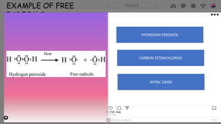 10.2 FREE RADICALS.pptx