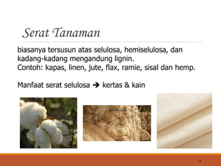 10. Serat.ppt