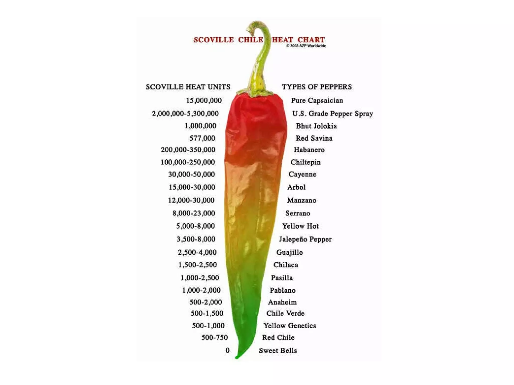 10 22 Tomatoes And Peppers | PPT | Free Download