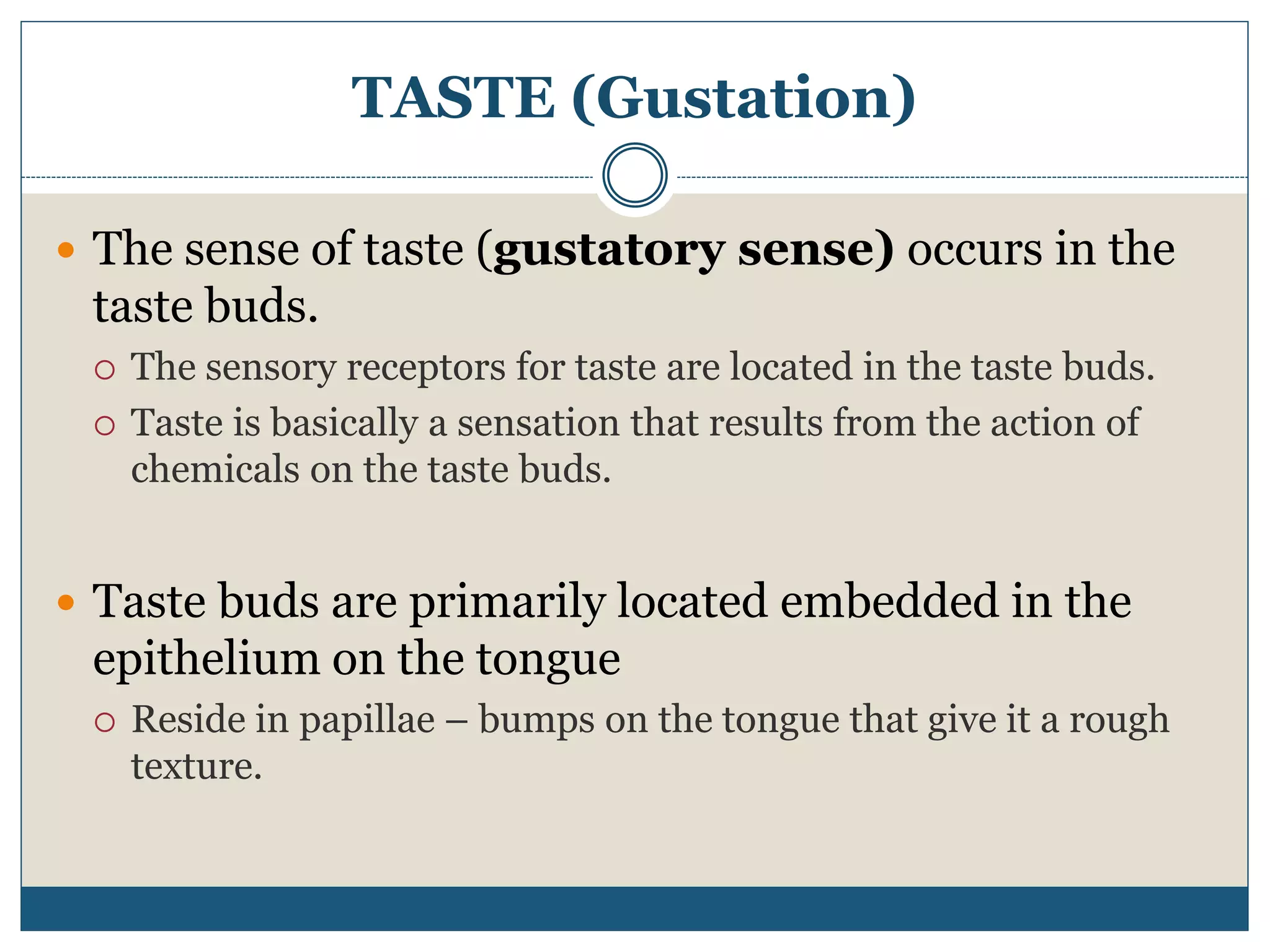10. Anatomy_Sense Organs.pptx
