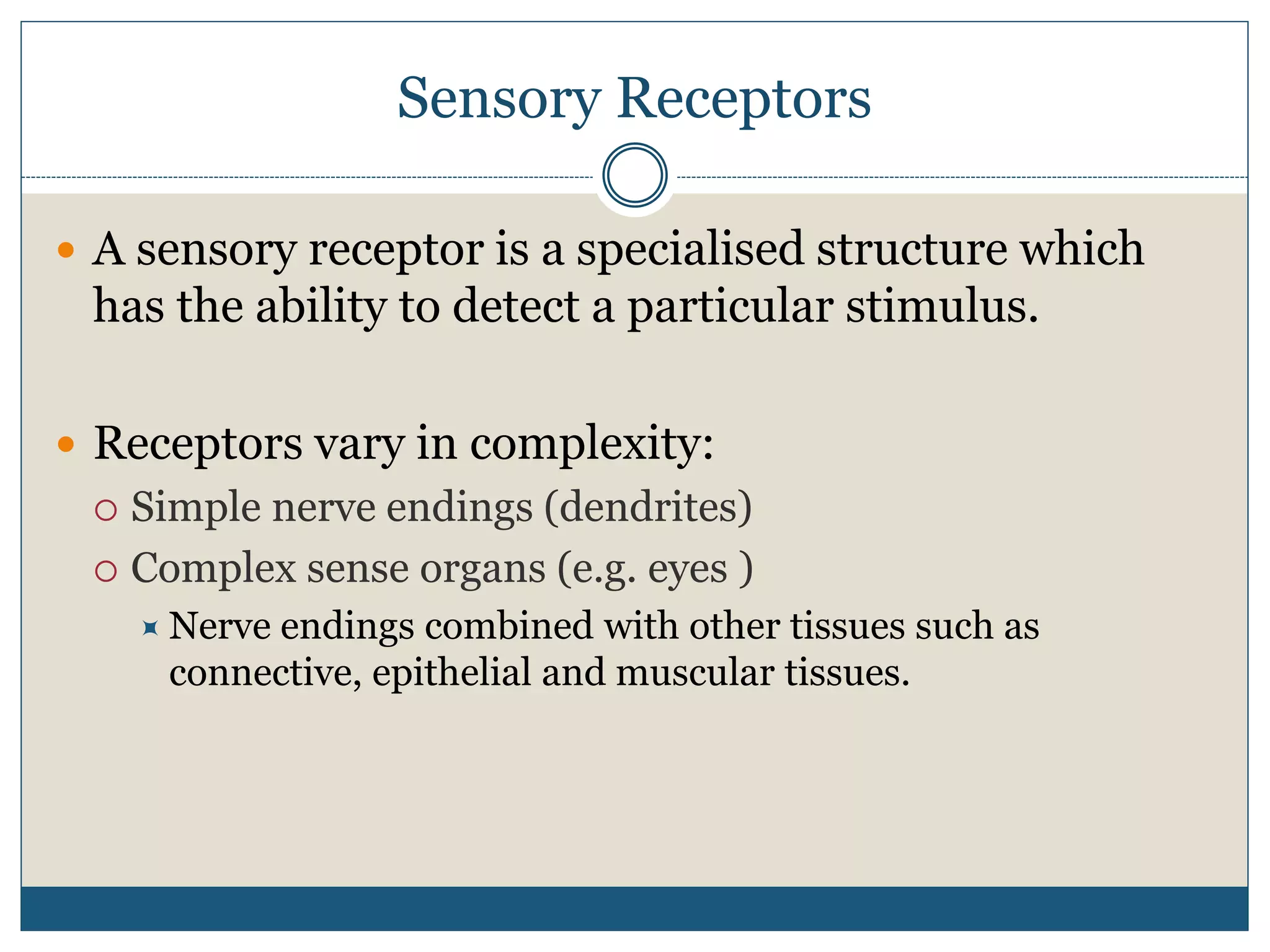 10. Anatomy_Sense Organs.pptx