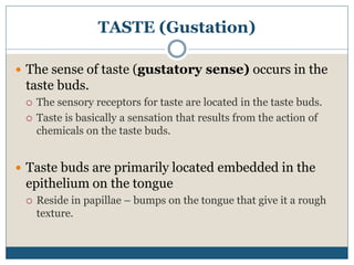 10. Anatomy_Sense Organs.pptx