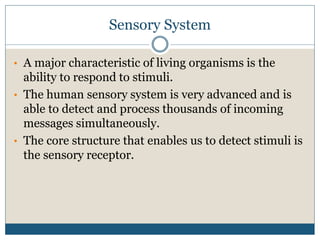 10. Anatomy_Sense Organs.pptx