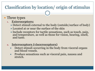10. Anatomy_Sense Organs.pptx