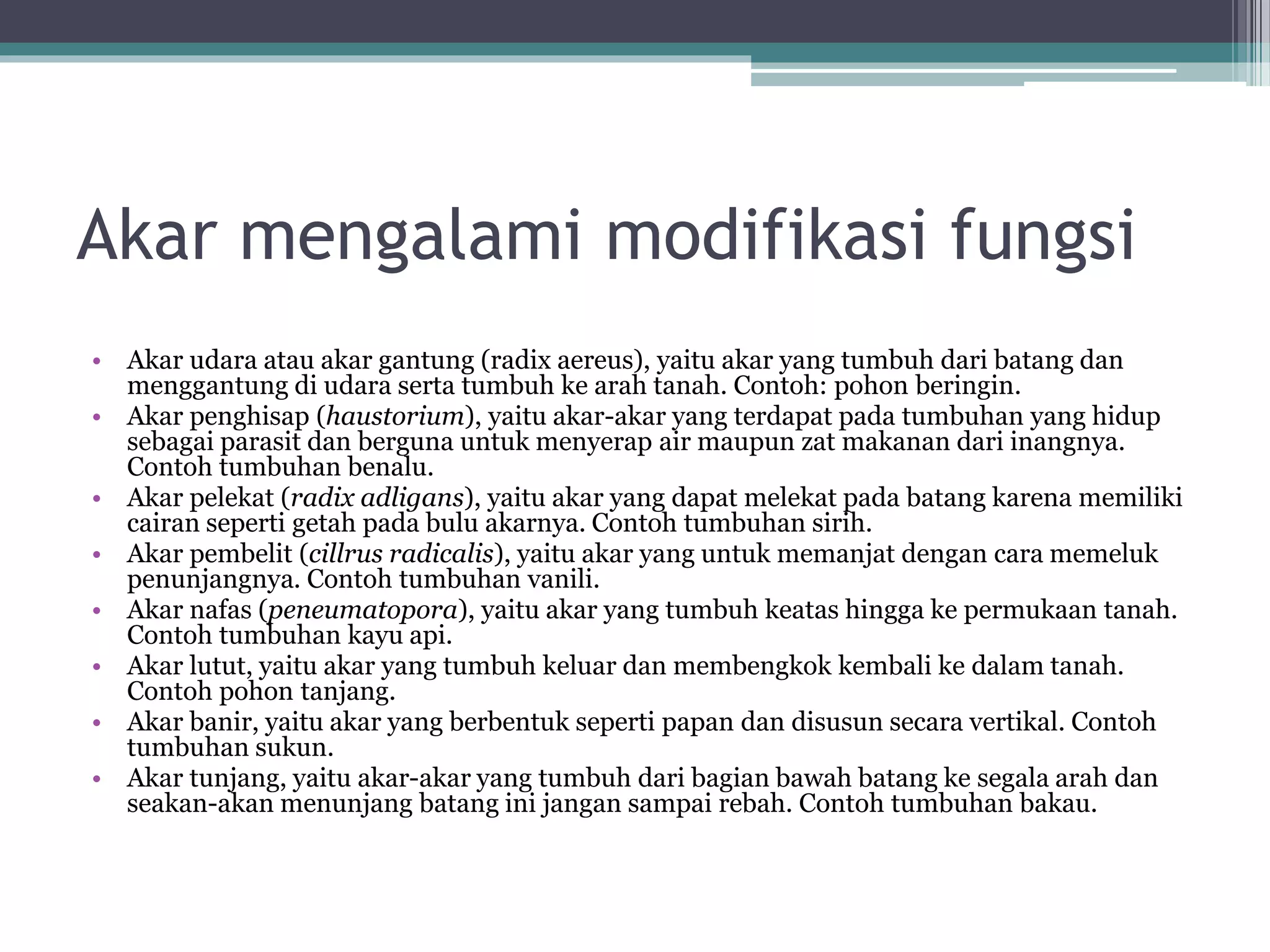 10. Struktur dan Fungsi Organ Tumbuhan.pptx