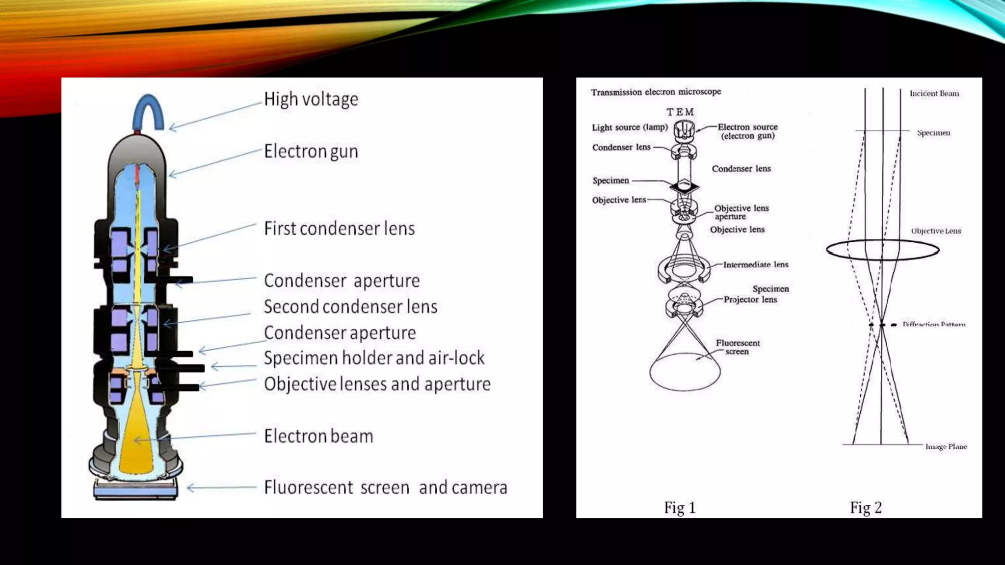 10. The Transmission Electron Microscope (TEM).pptx