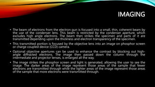 10. The Transmission Electron Microscope (TEM).pptx