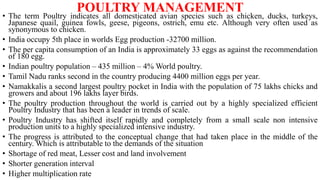 10. Poultry Management.pptx