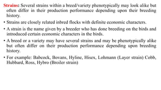 10. Poultry Management.pptx