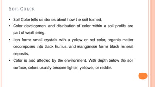 10. Soil Physical Properties_Porosity, Permeabilty, Color and Temp.pptx