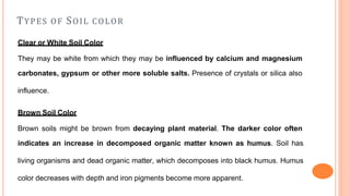 10. Soil Physical Properties_Porosity, Permeabilty, Color and Temp.pptx