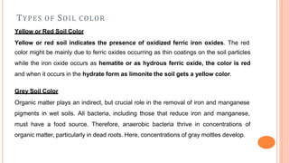 10. Soil Physical Properties_Porosity, Permeabilty, Color and Temp.pptx