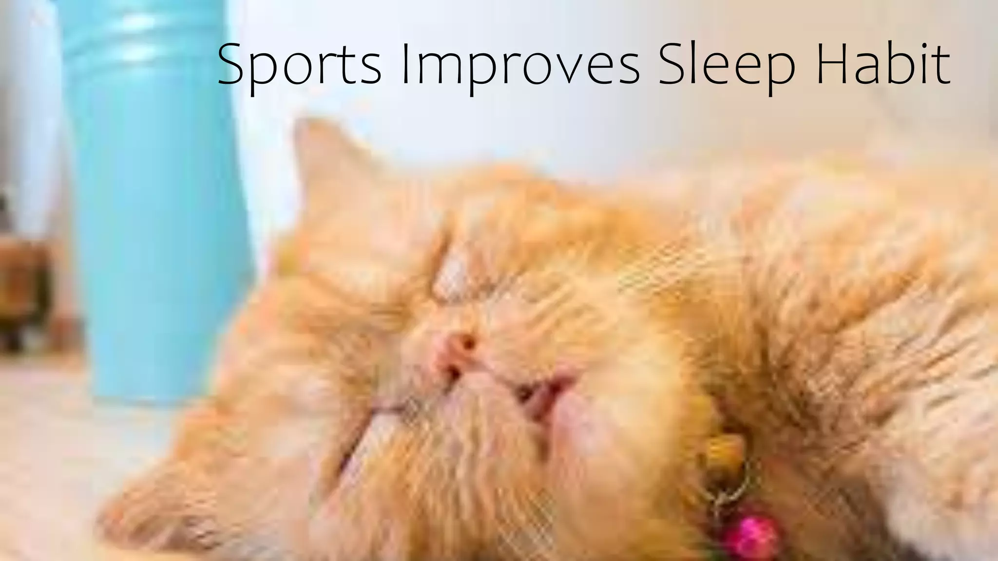 10. Different Stages of Preparation for Sports Participation.pptx | Sports