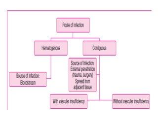10. Bones and joints infections.pptx