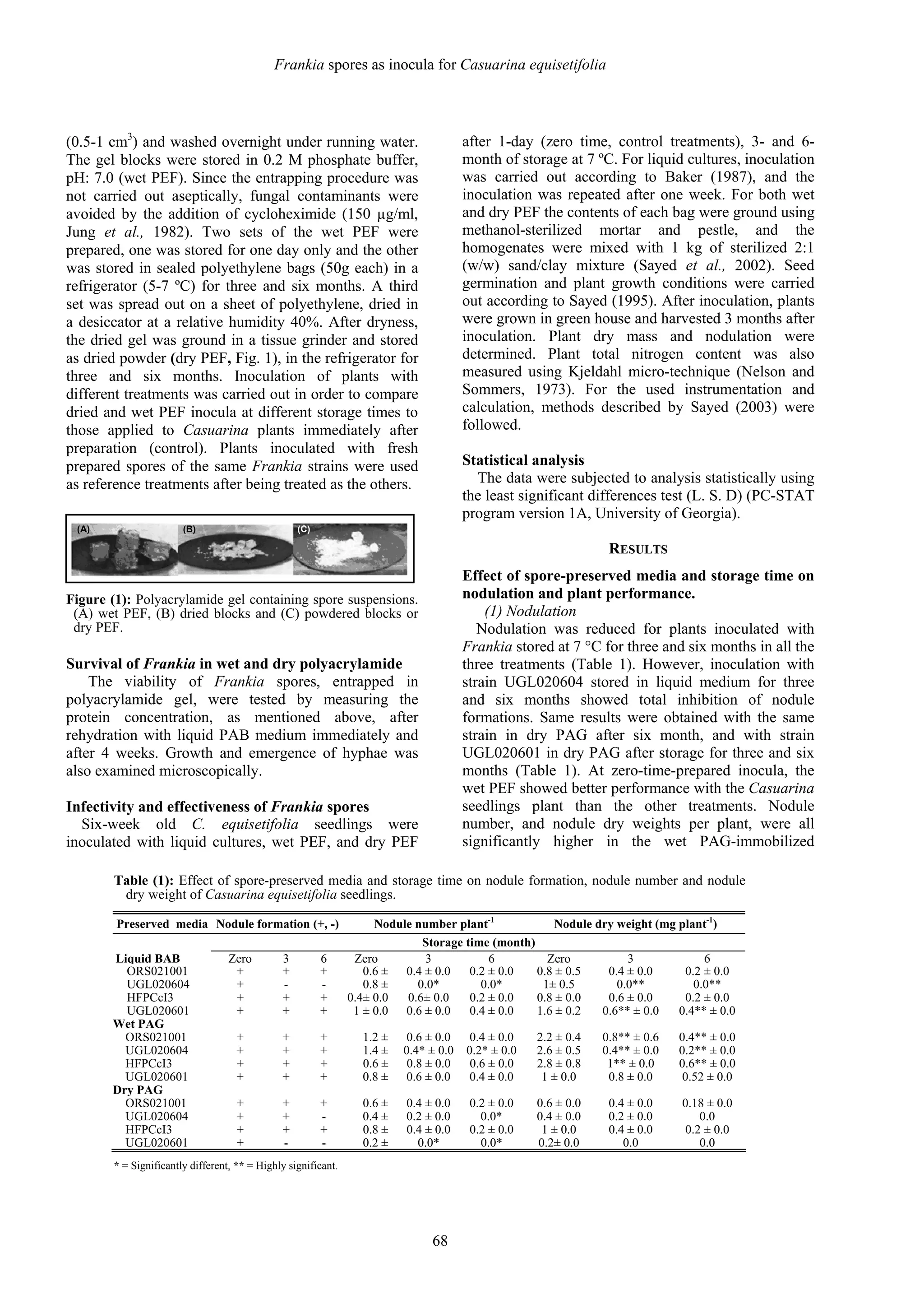 The Use of Frankia Spores As Inocula For Casuarina equisetifolia Plants ...