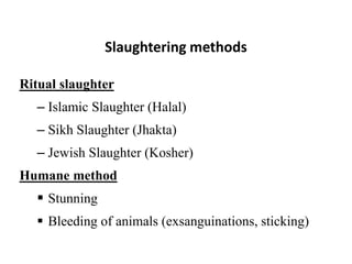 10. slaughtering of animals.pptx