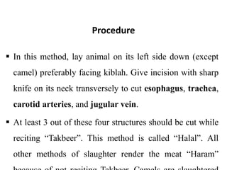10. slaughtering of animals.pptx