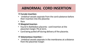 UMBLICAL CORD | PPTX
