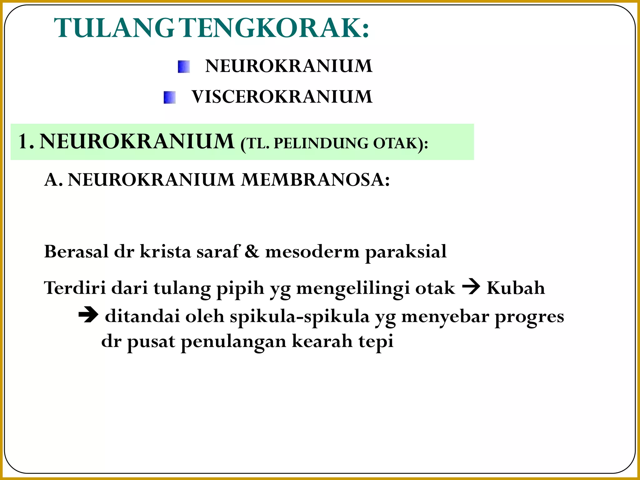 10.-Perkembangan-Otot-dan-Kerangka.pdf