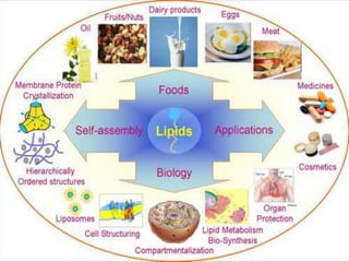 10. Composition and metabolism of lipids (Biochemistry) | PPTX