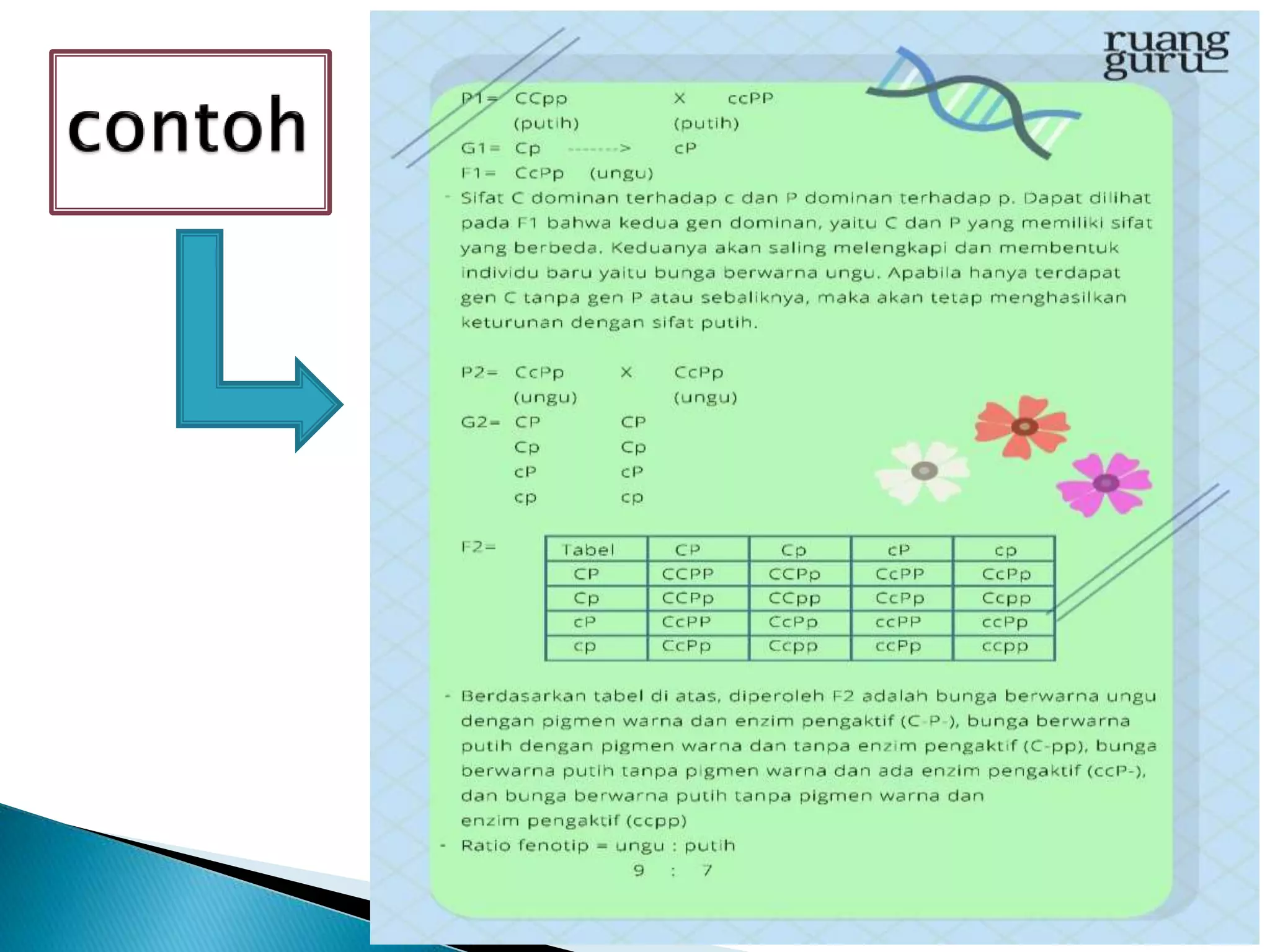 10. INTERAKSI ANTAR GEN.pptx