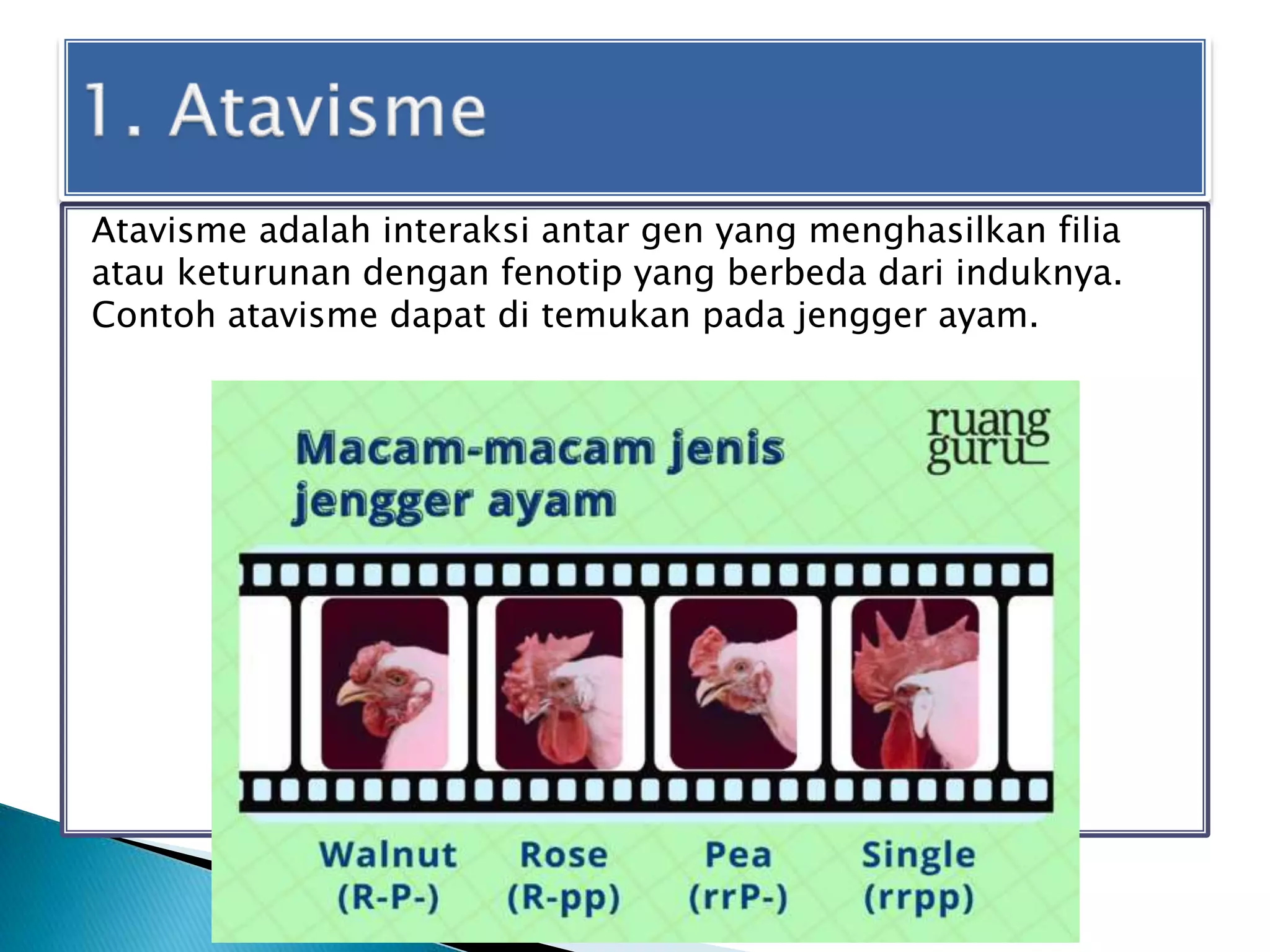 10. INTERAKSI ANTAR GEN.pptx