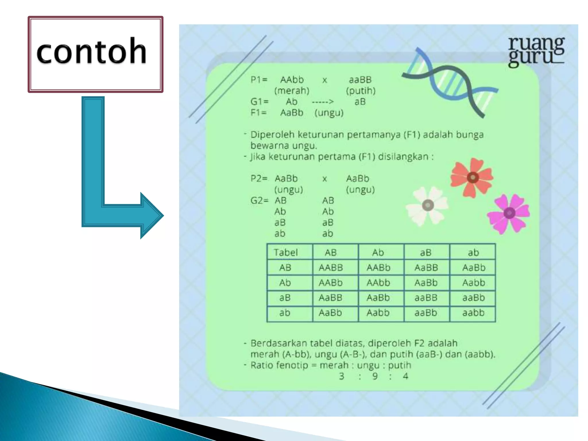 10. INTERAKSI ANTAR GEN.pptx