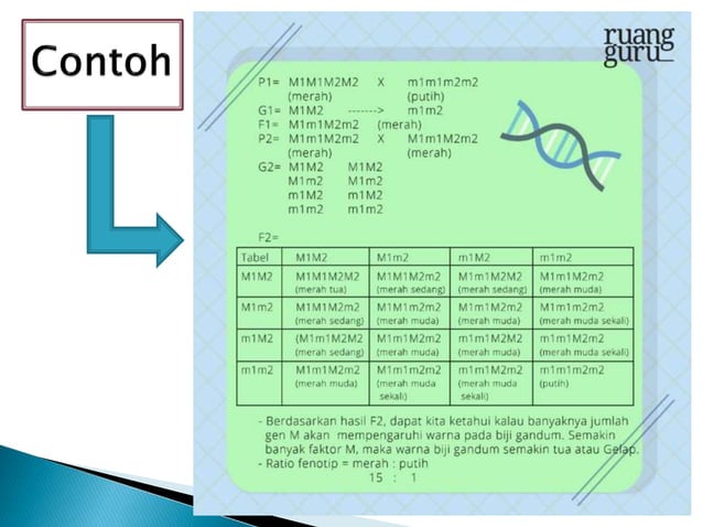 10. INTERAKSI ANTAR GEN.pptx