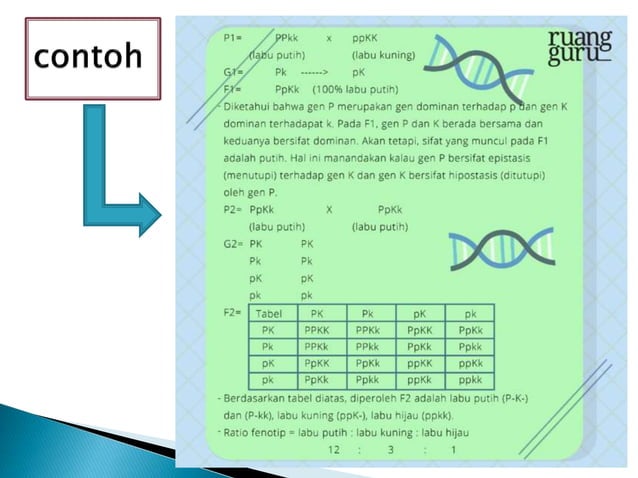 10. INTERAKSI ANTAR GEN.pptx