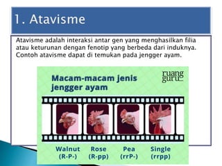 10. INTERAKSI ANTAR GEN.pptx